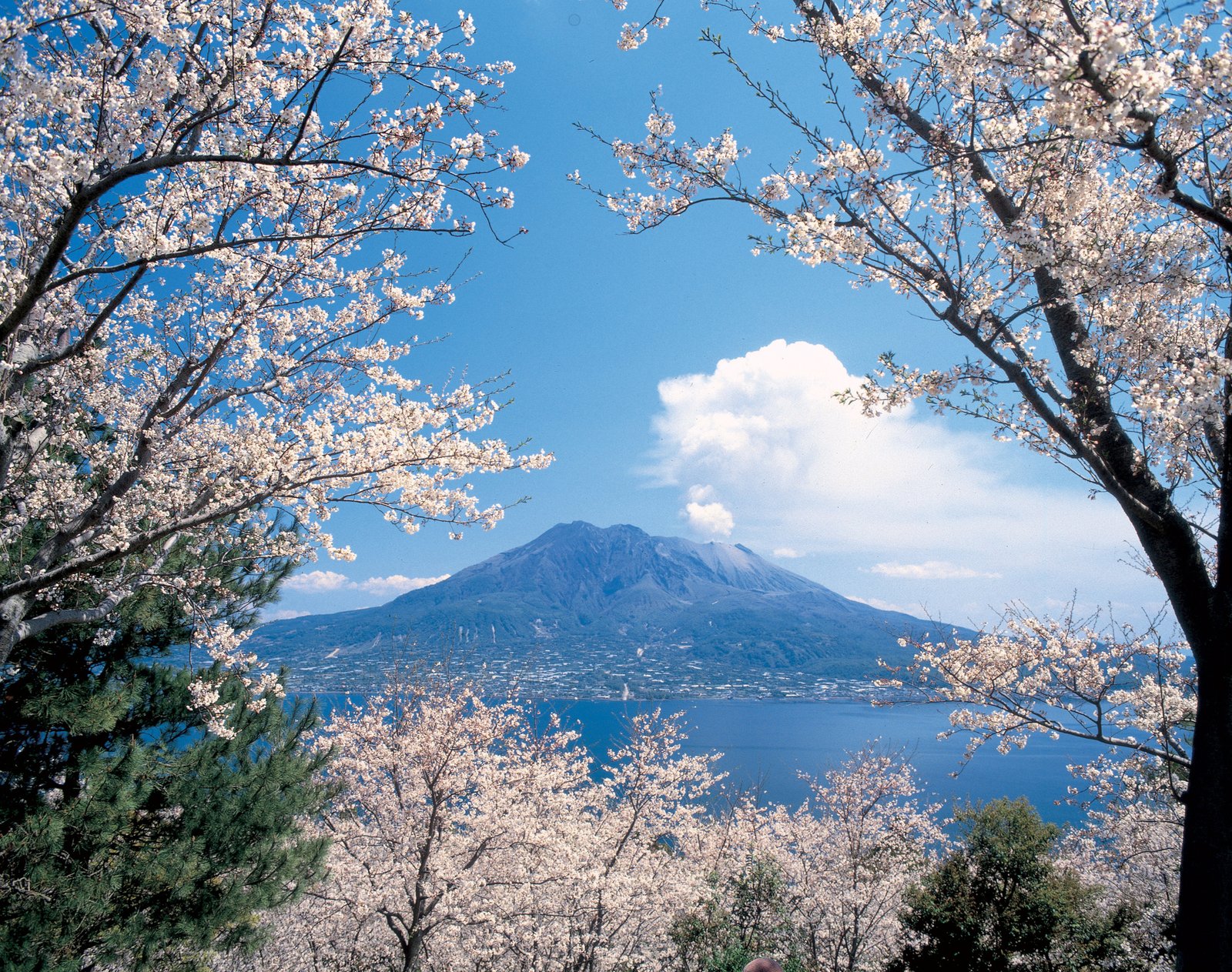 Shima no Tabi (島の旅): Unveil Kagoshima's Islands - HIS