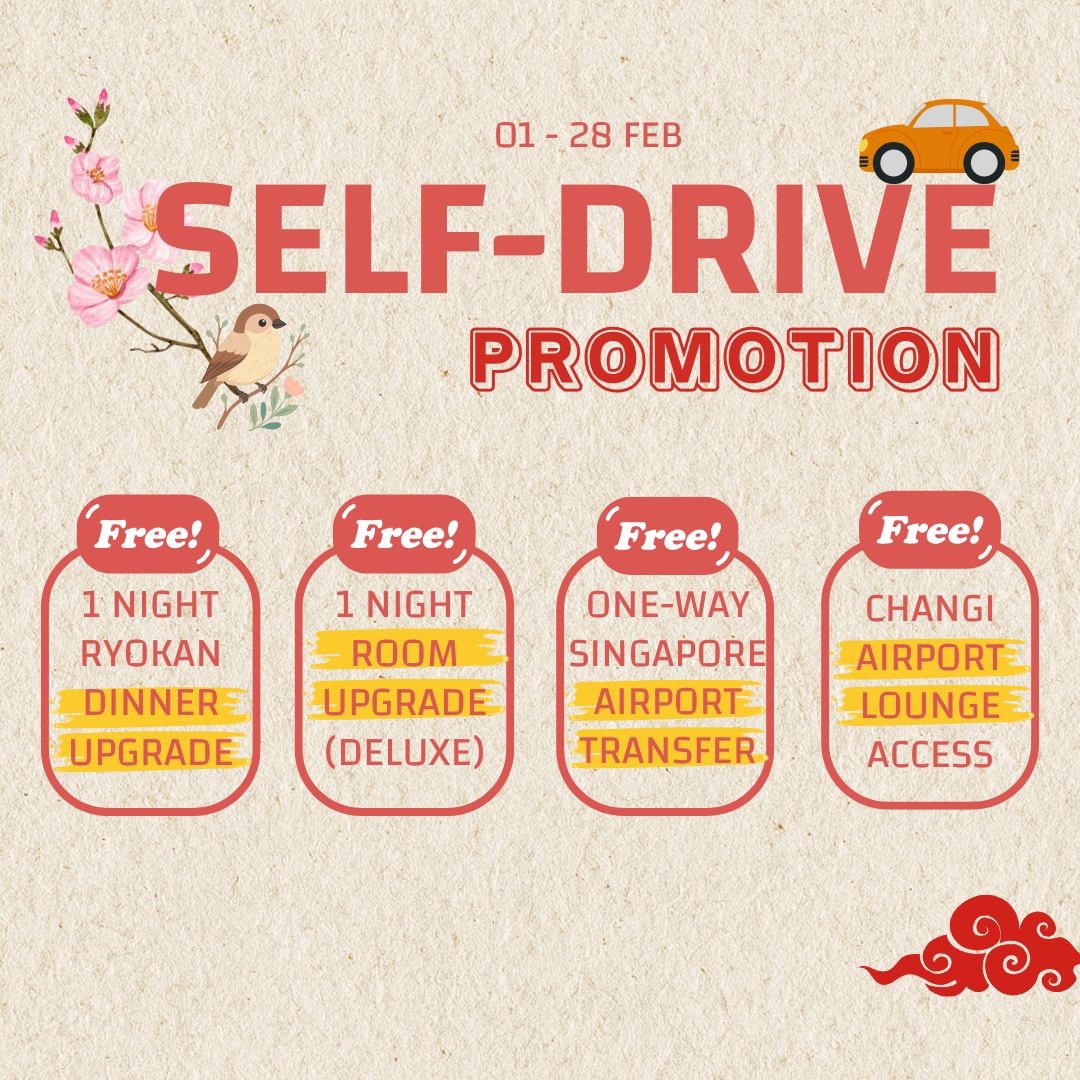 February Self-Drive Promotion - HIS